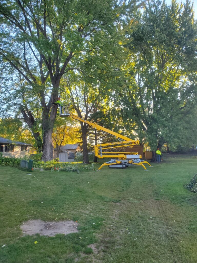 Skluzacek Tree Movers LLC – Skluzacek Tree Movers specialize in all ...